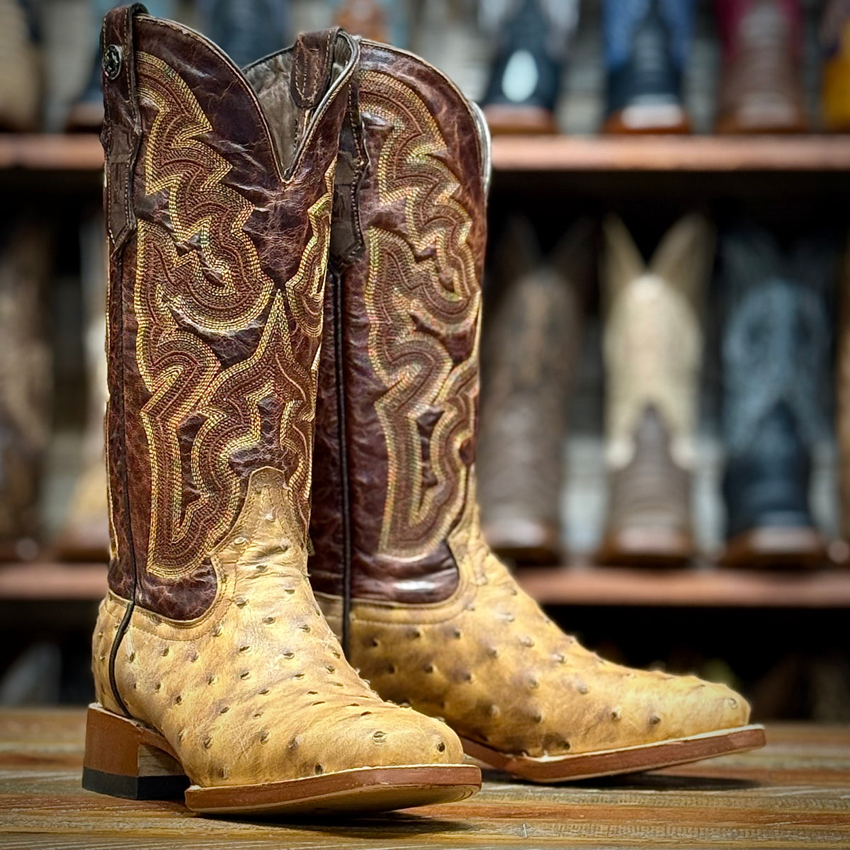 TML207144 – Tanner Mark Boots